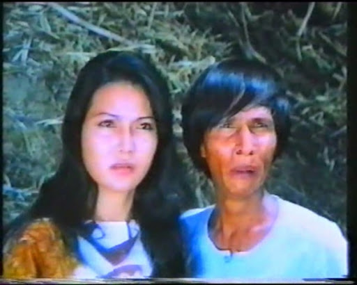 Schlock Treatment Archive: The Revenge Of The Lady Fighter (1973)